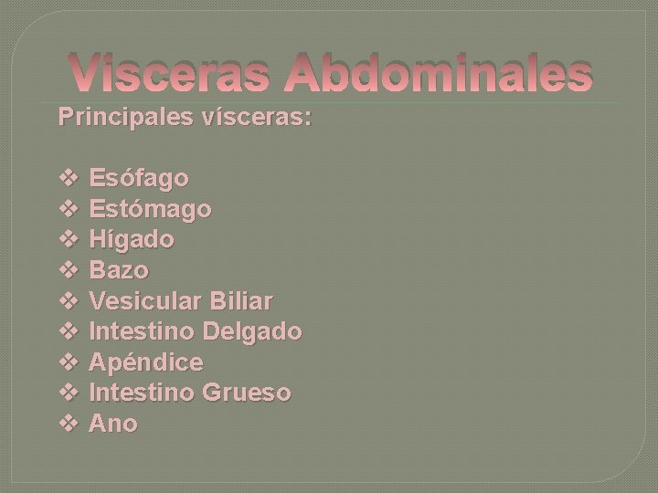 Visceras Abdominales Principales vsceras v Esfago v Estmago