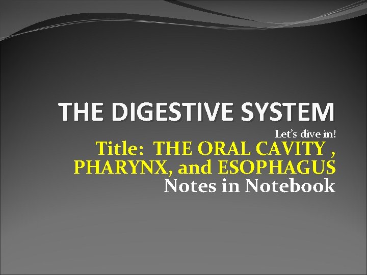 THE DIGESTIVE SYSTEM Lets dive in Title THE