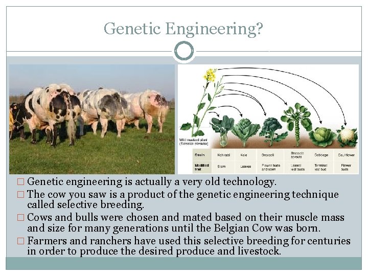 GENETIC ENGINEERING Is genetic engineering an old technology