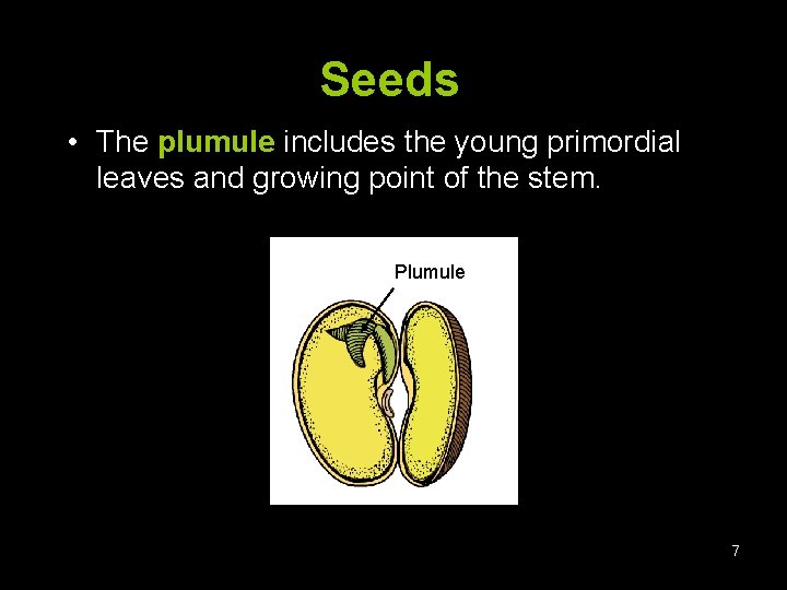 Plant Science Plant Growth Development Seed Germination Instructional
