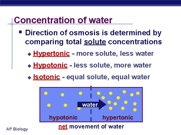 cell membranes and movement across them Bellringer Review
