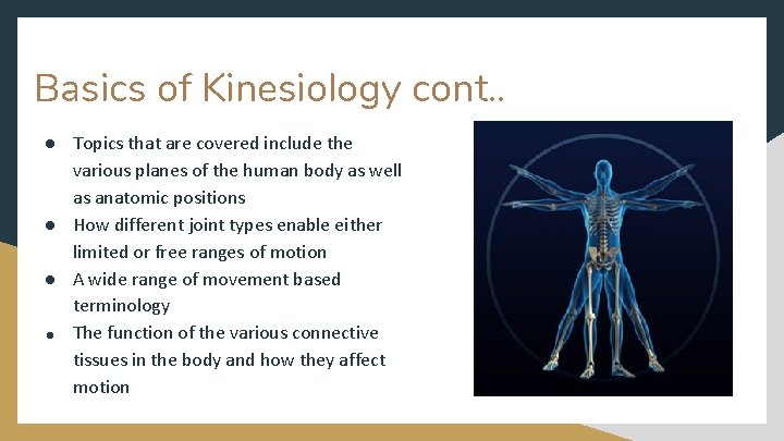 Kinesiology By Dallas Kaauwai and Maika Segarra What