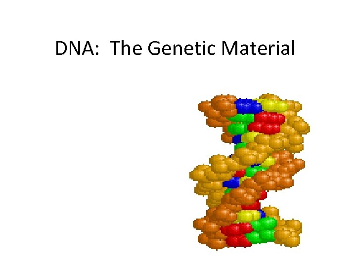 DNA The Genetic Material Identifying the Genetic Material