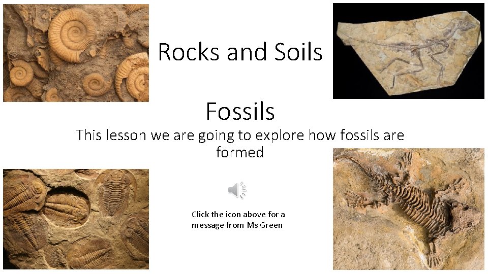 Rocks and Soils Fossils This lesson we are