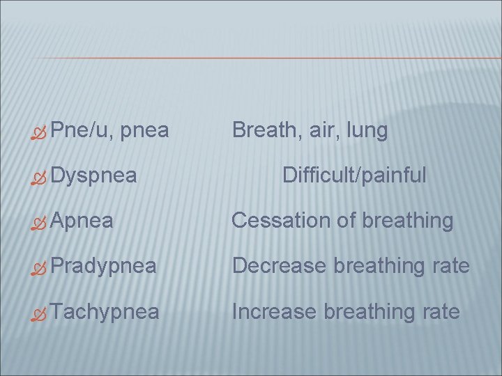 THE RESPIRATORY SYSTEM Broncho bronchi airway Cili hairlike