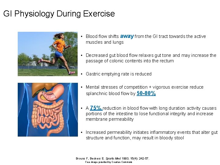 Gastrointestinal distress and endurance athletes What do carbohydrates
