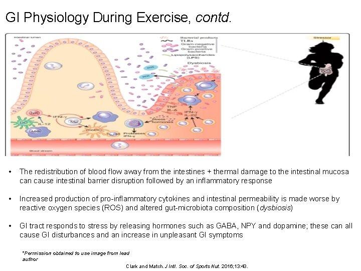 Gastrointestinal distress and endurance athletes What do carbohydrates