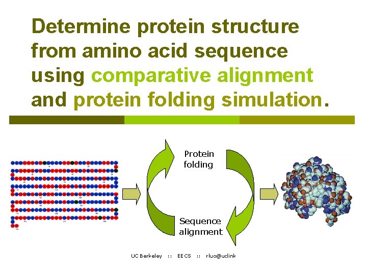 Determine protein structure from amino acid sequence Ray