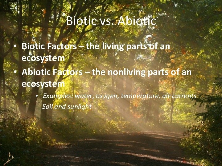 How living things interact with their environment Ecology