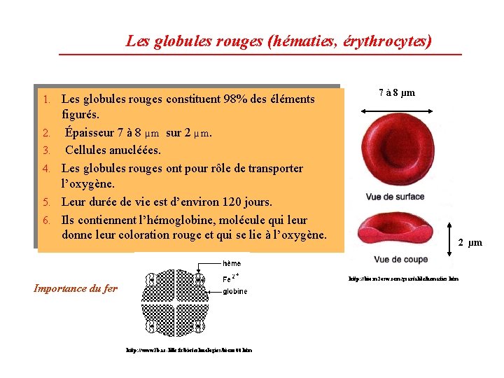 Le systme circulatoire Introduction Le systme circulatoire est