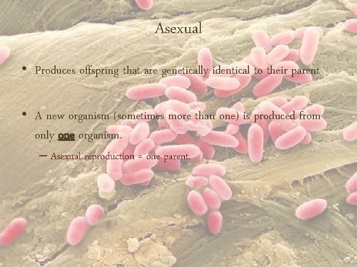 Asexual vs Sexual Reproduction Class Starters What is
