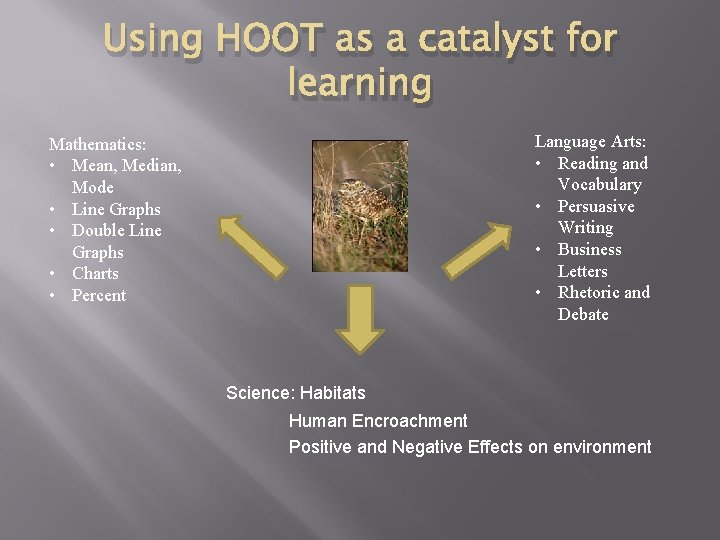 UNDERSTANDING THE BIG PICTURE Teaching understanding through integrated