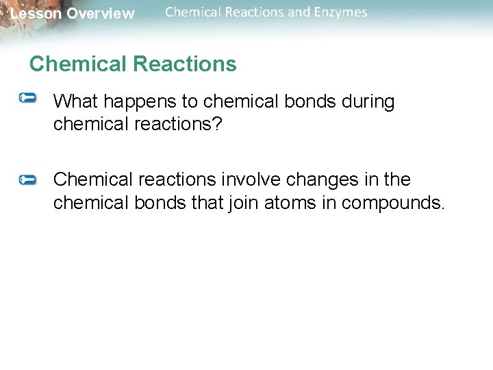Lesson Overview Chemical Reactions and Enzymes Lesson Overview