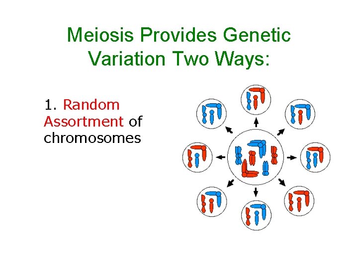 Stnd 3 a Objective CNotes Meiosis Cell Division
