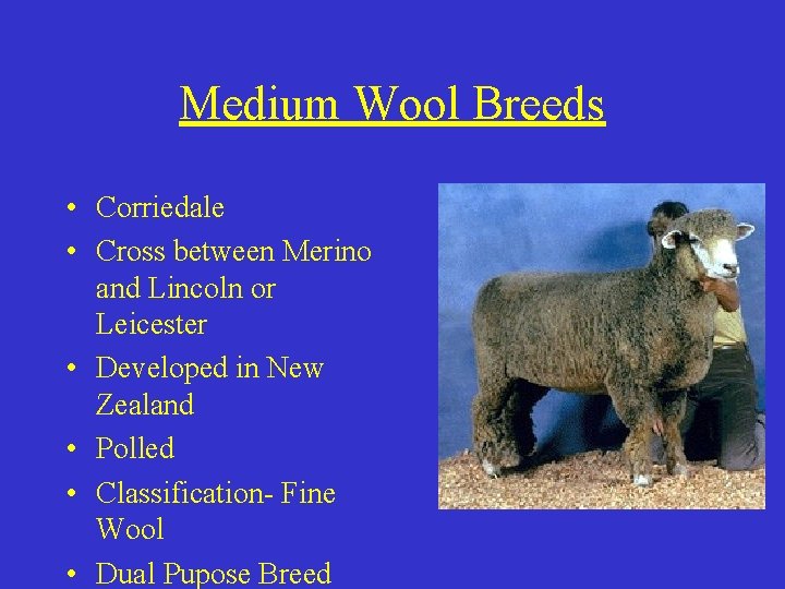 Breeding Sheep Breeding Goats Compiled by Jared Jackson
