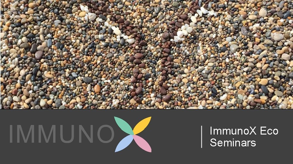 Immuno X Eco Seminars Impacts of Our Actions