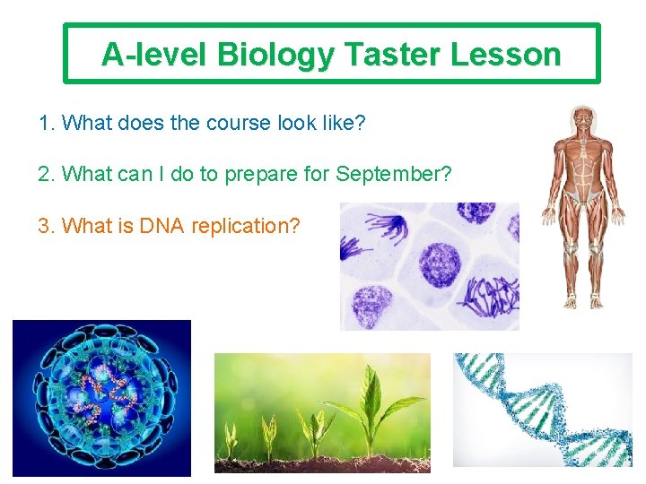 Alevel Biology Taster Lesson 1 What does the