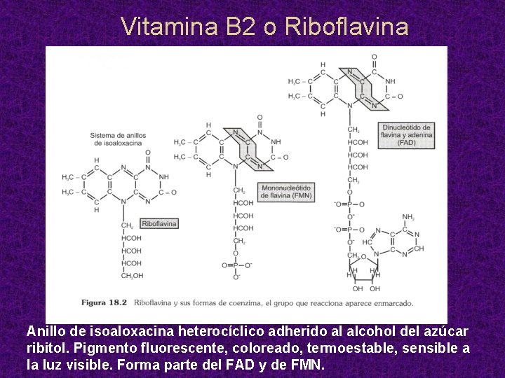 LAS VITAMINAS Son sustancias orgnicas heterogneas presentes en