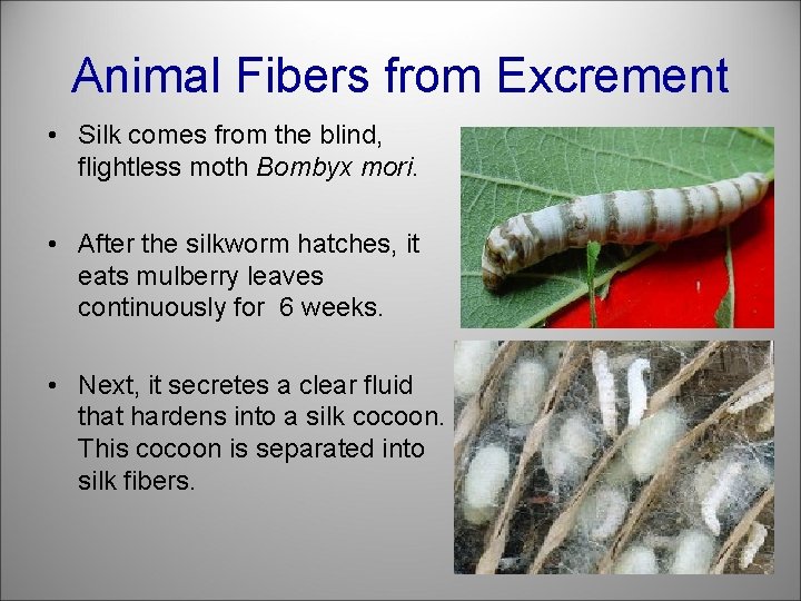 Chapter 10 Fibers Another example of trace evidence