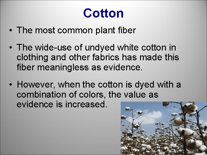 Chapter 10 Fibers Another example of trace evidence