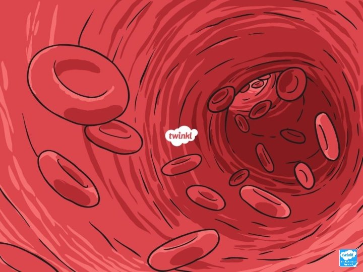 All About Blood We all know blood is