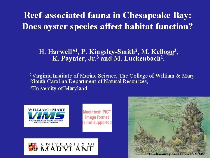 Reefassociated fauna in Chesapeake Bay Does oyster species
