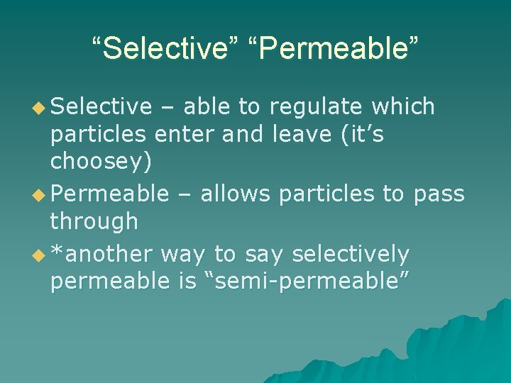 The PlasmaCell Membrane Objective u Recognize the importance