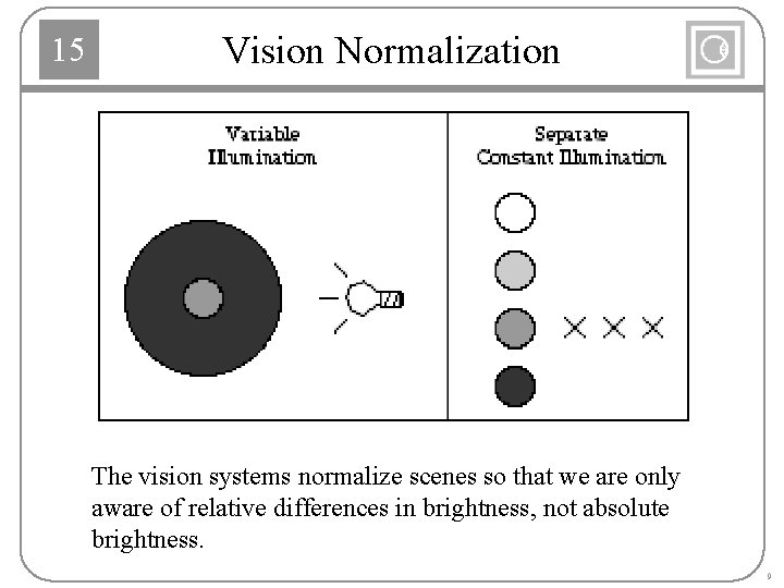 15 Grossberg Network 1 15 Biological Motivation Vision