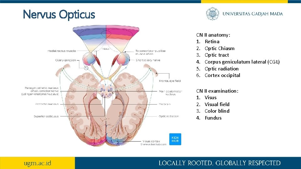REFLEKSI KASUS STROKE LOBUS OCCIPITAL Hemianopsia Homonim I