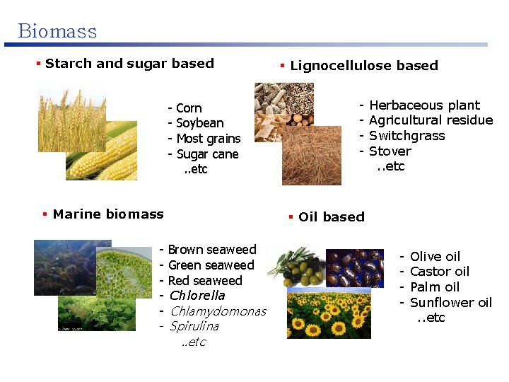 Introduction Biomass Starch and sugar based Corn Soybean