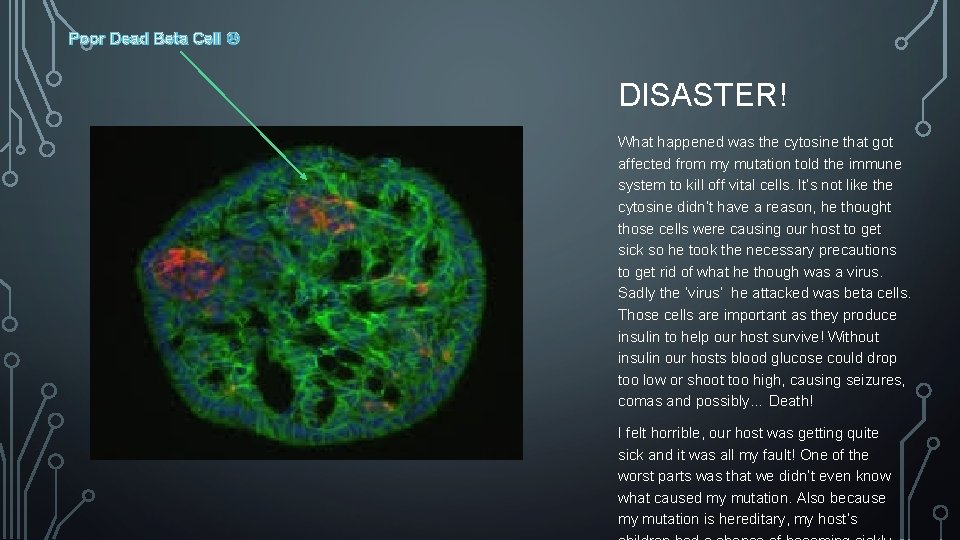 ADL 15 MUTATION STORY BY AMY K SNALAM
