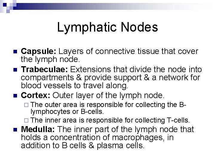 The Lymphatic System Part 4 Regulation Maintenance Lymphatic