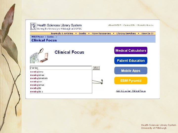 Impact and User Satisfaction of a Clinical Information