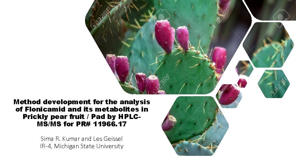 Method development for the analysis of Flonicamid and
