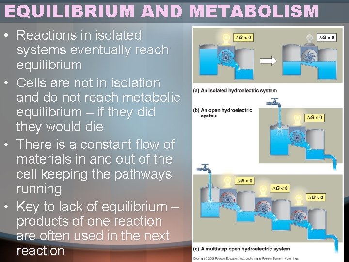 An Introduction to Metabolism Chapter 8 METABOLISM Totality