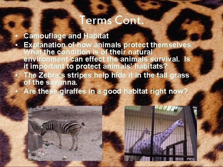 Our Wild Trip to the Milwaukee County Zoo