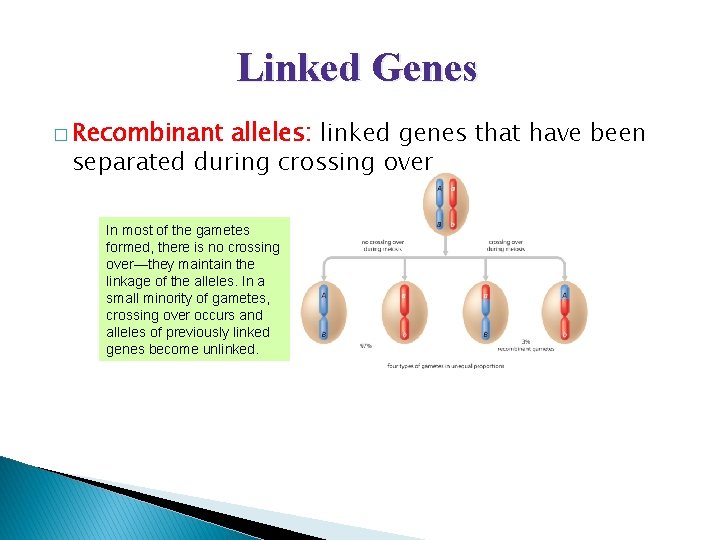 6 2 Inheritance of Linked Genes SBI 3