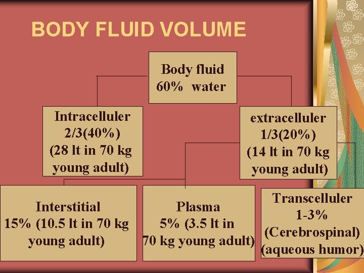CAIRAN DAN ELEKTROLIT KOMPARTEMEN CAIRAN Seluruh cairan tubuh