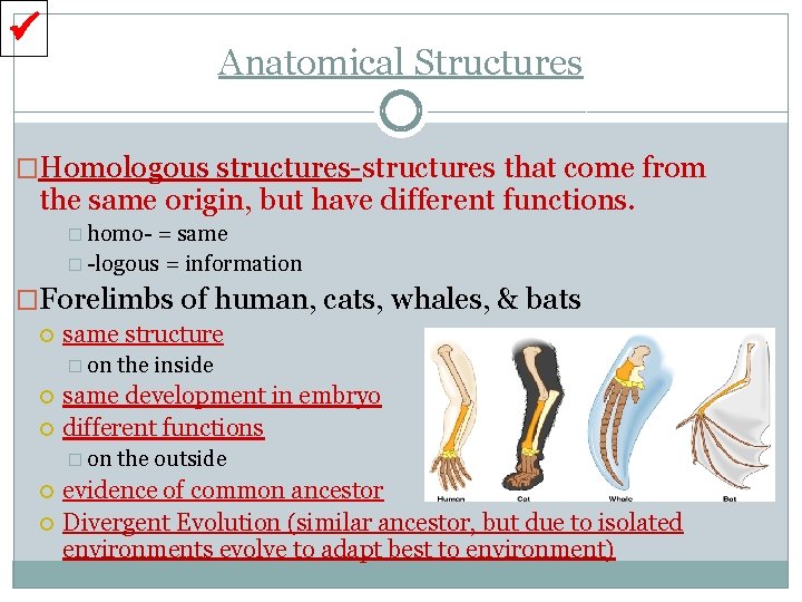 Evidence for Evolution Learning Targets Explain the evidence