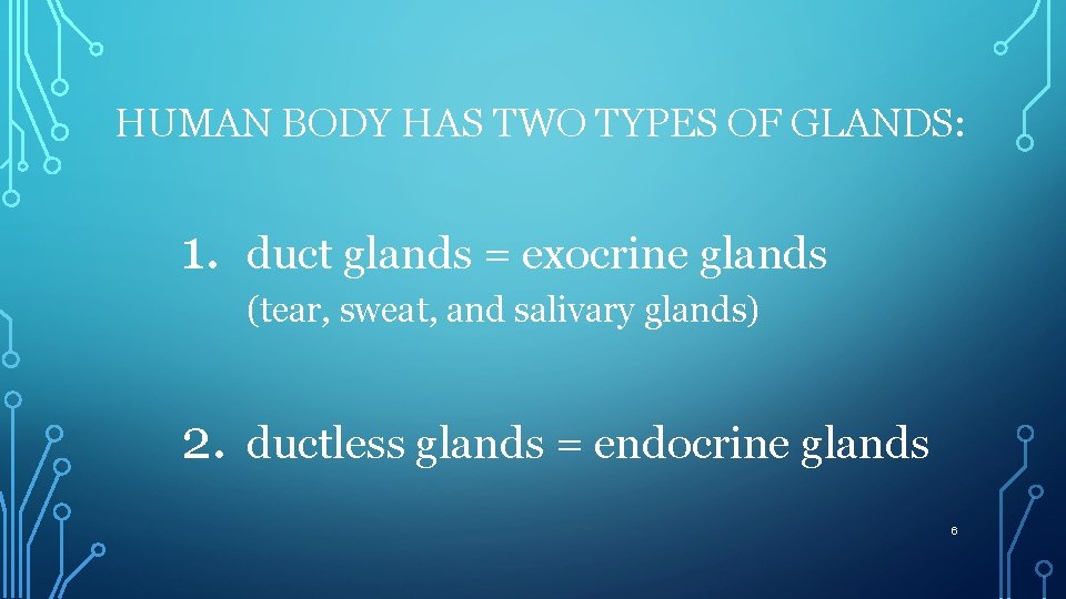 ENDOCRINE SYSTEM VOCAB 1 6 1 Endocrine System