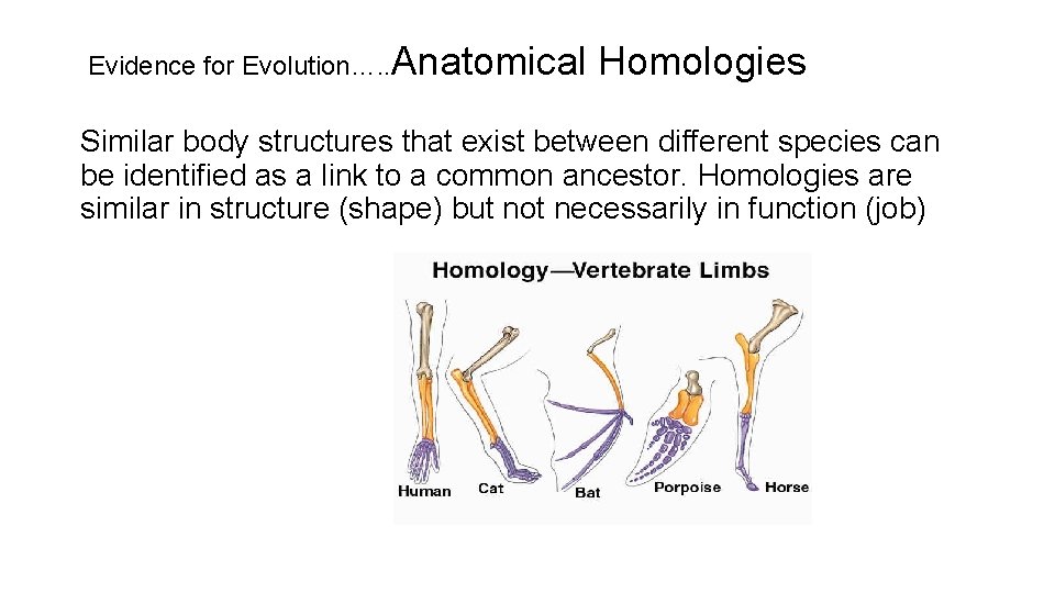 EVOLUTION TAXONOMY UNIT EVOLUTION IS a change in