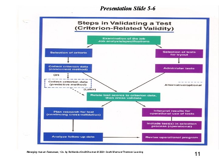 Managing Human Resources Bohlander Snell Sherman Chapter 5