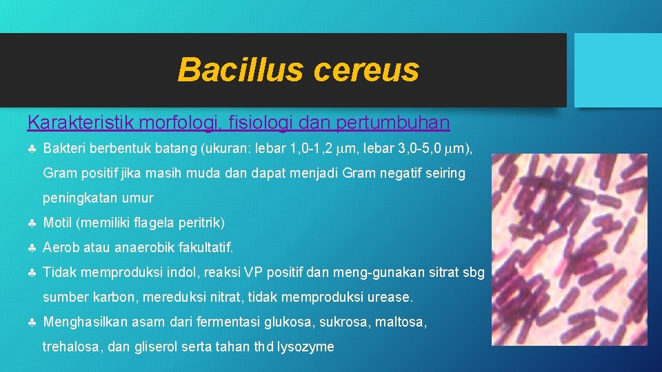 BACILLUS Bacillus cereus UNIVERSITAS DR SOETOMO FAKULTAS PERTANIAN
