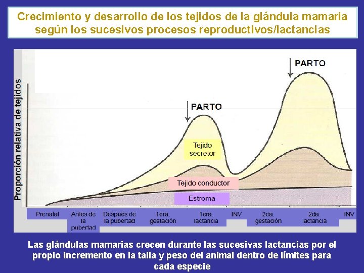 MAMOGNESIS Fisiologa de la Lactancia en Animales de
