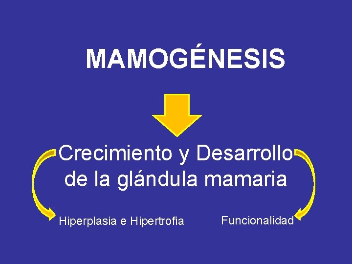 MAMOGNESIS Fisiologa de la Lactancia en Animales de