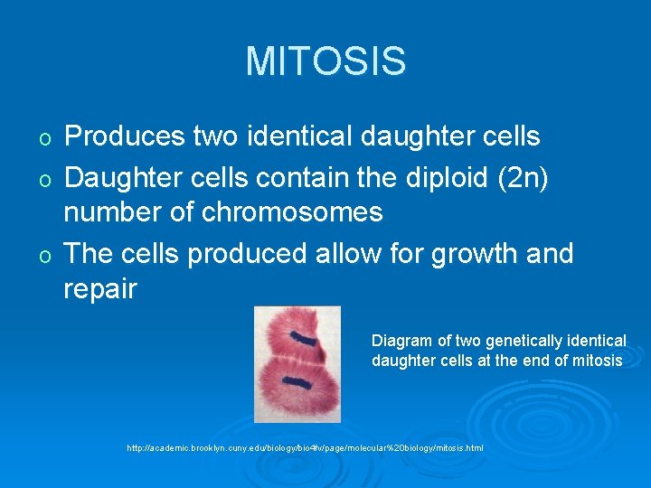 BY 2 4a b Reproductive Strategies There are