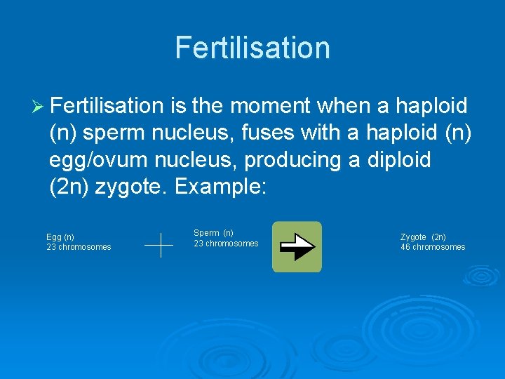 BY 2 4a b Reproductive Strategies There are
