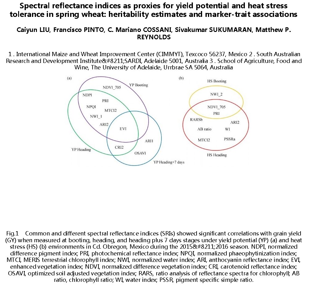Spectral reflectance indices as proxies for yield potential