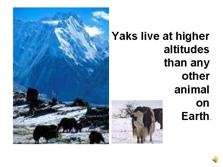 HABITATS Read each slide Look at each picture
