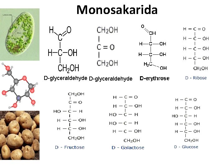 KARBOHIDRAT Oleh Prof Dr Ir Eddy Suprayitno MS